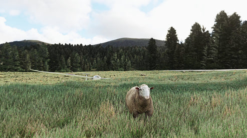 SoFly Animals for MSFS-2020 – iniBuilds Store