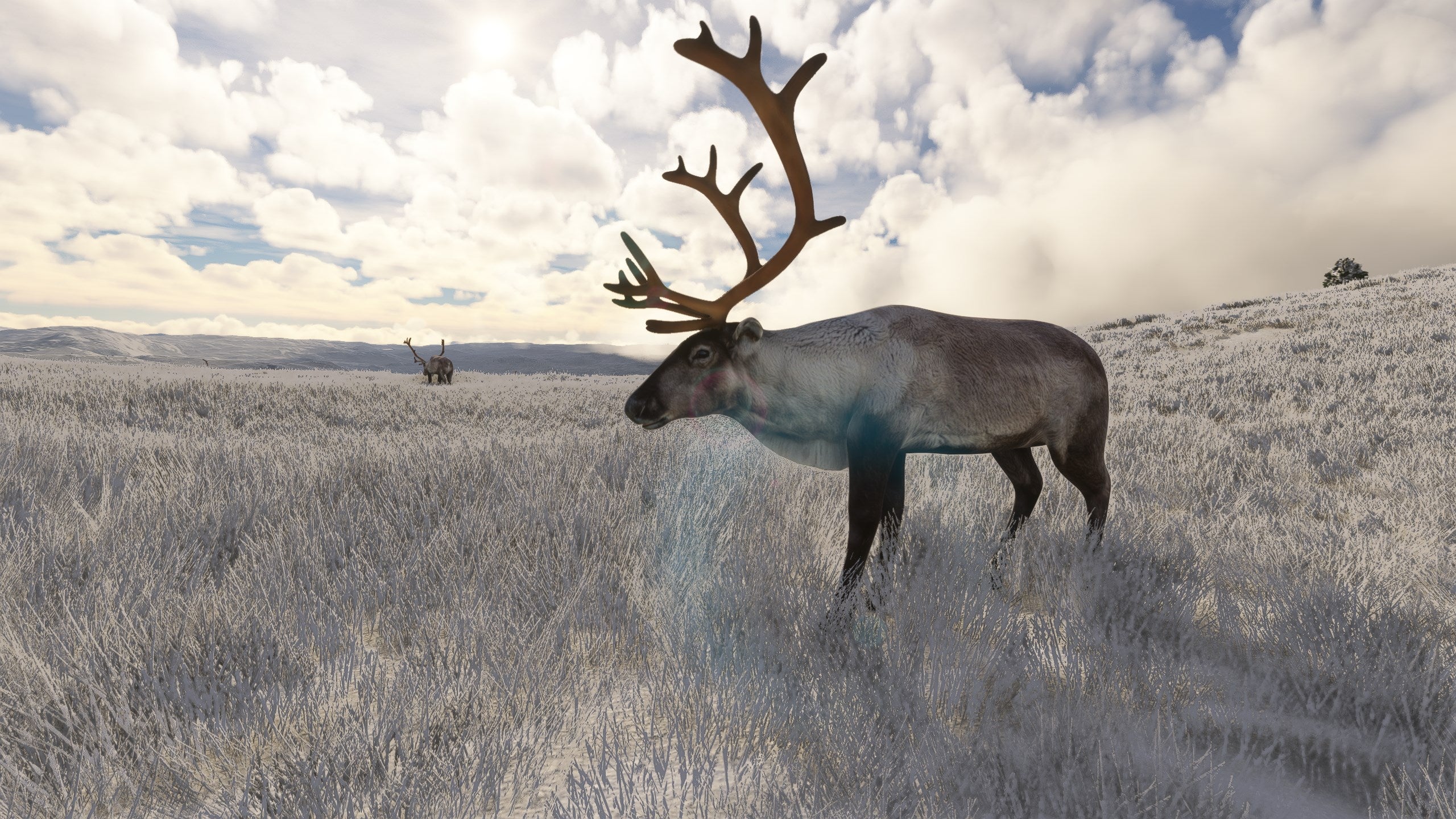 SoFly Animals for MSFS-2020 – iniBuilds Store